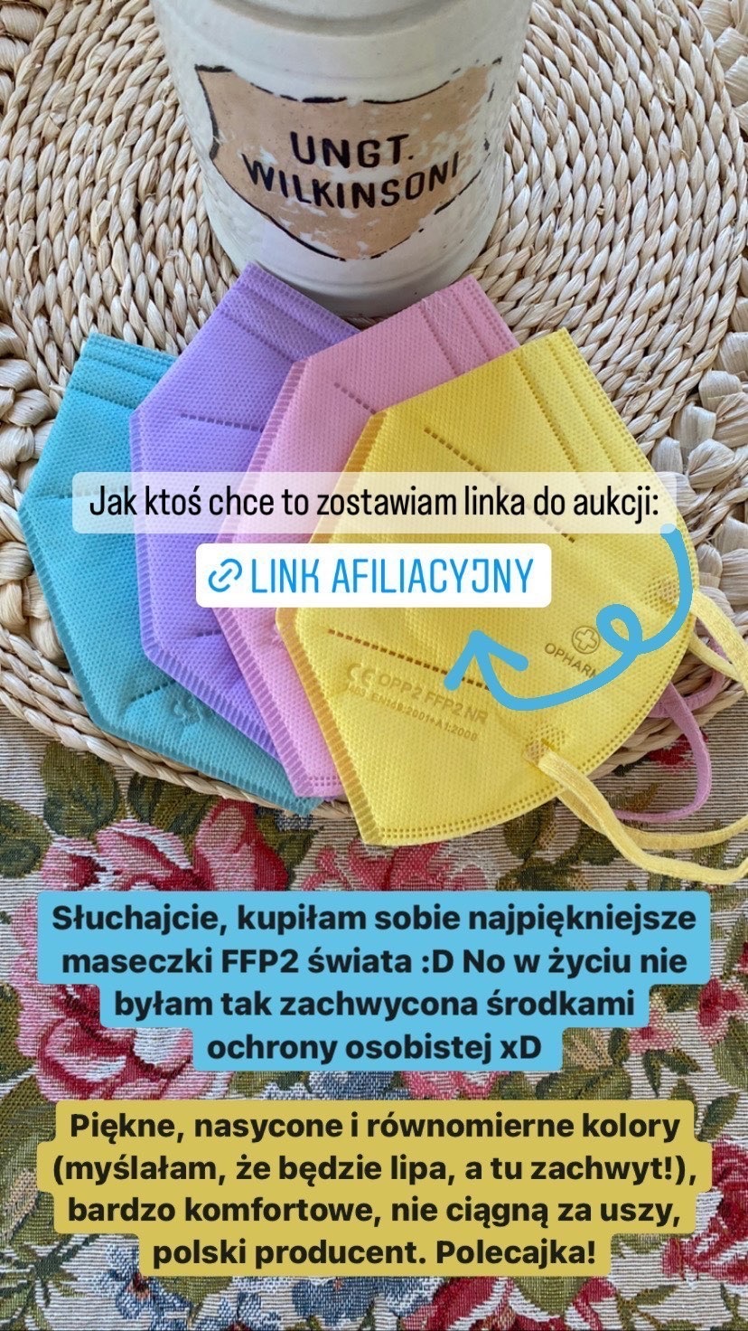 Zarabianie w sieci nie tylko dla influ - Aniamaluje - blog lifestylowy